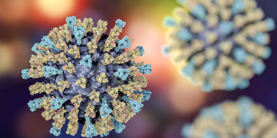 Mazelen – LUSOLOBO